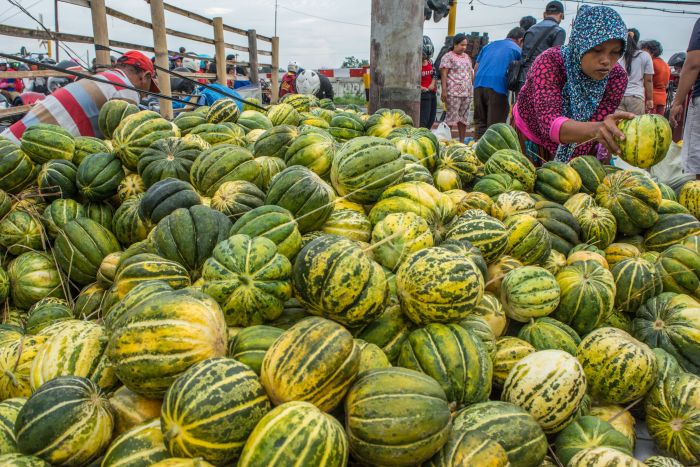 Buah Blewah, Buah Favorit untuk Menu Buka Puasa Yang Penuh Manfaat